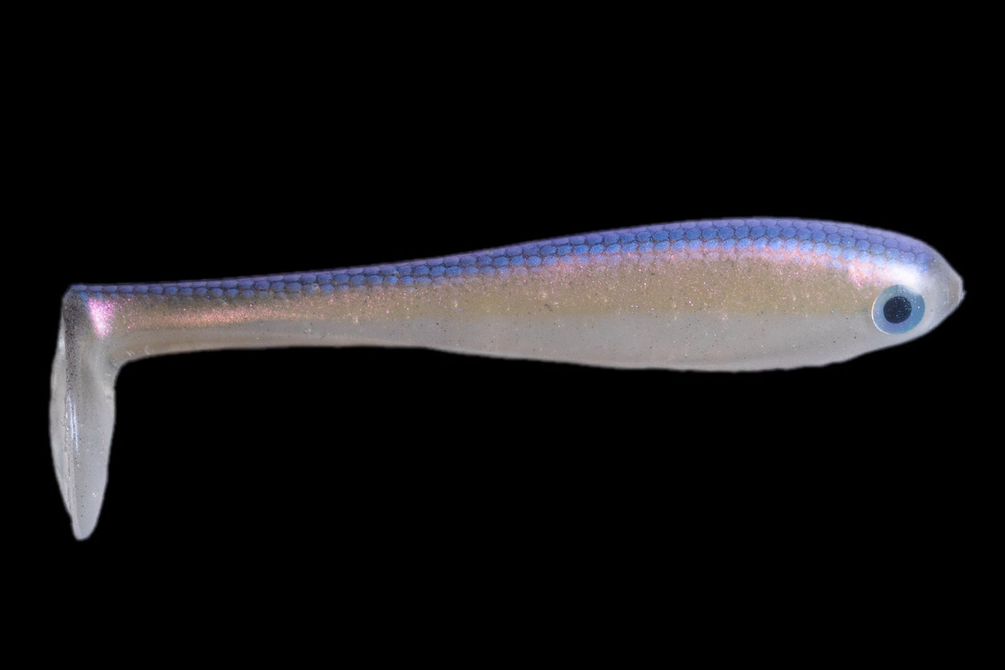 Hollow Body Paddle Tail – Basstrix Lure Company