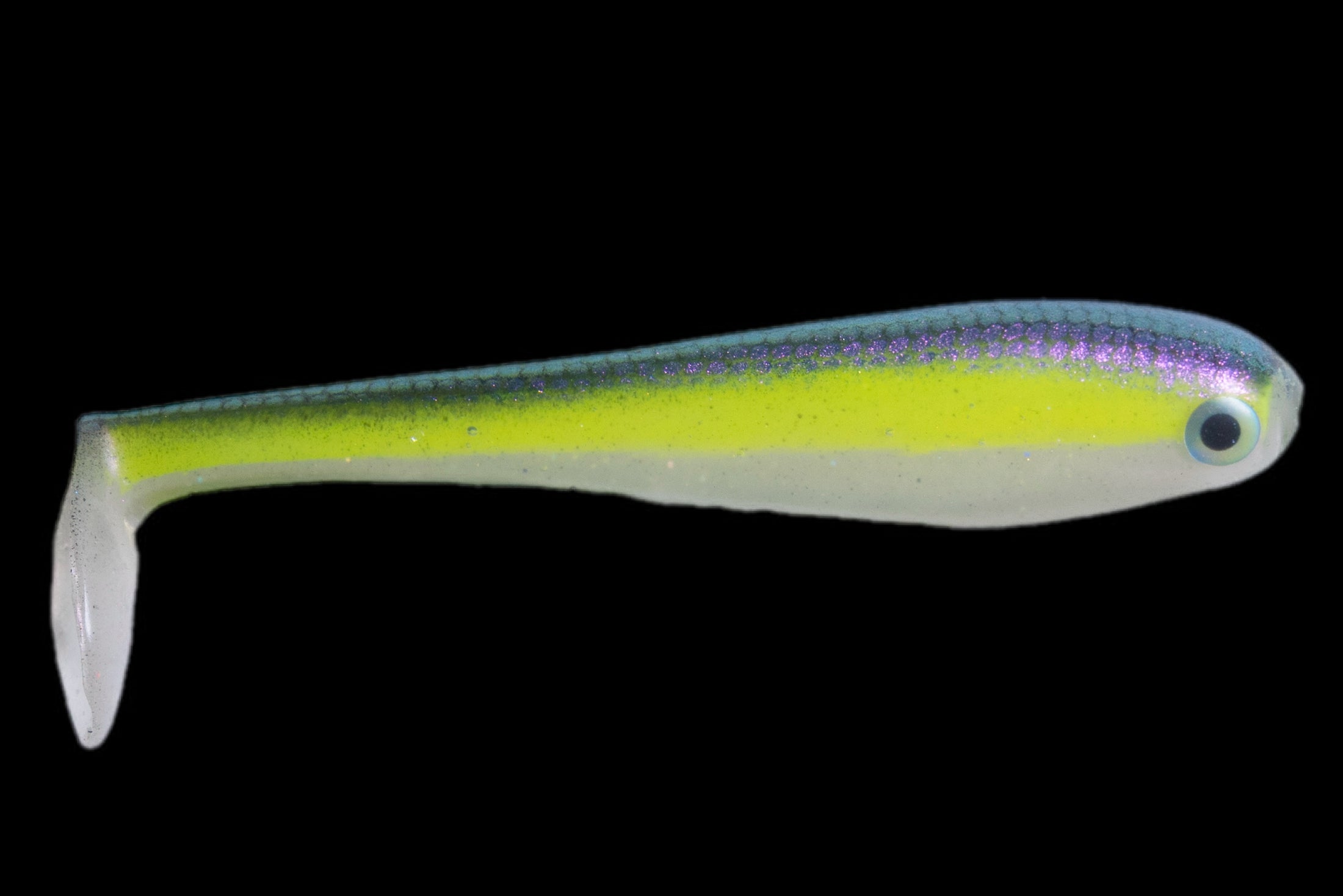 Hollow Body Paddle Tail – Basstrix Lure Company