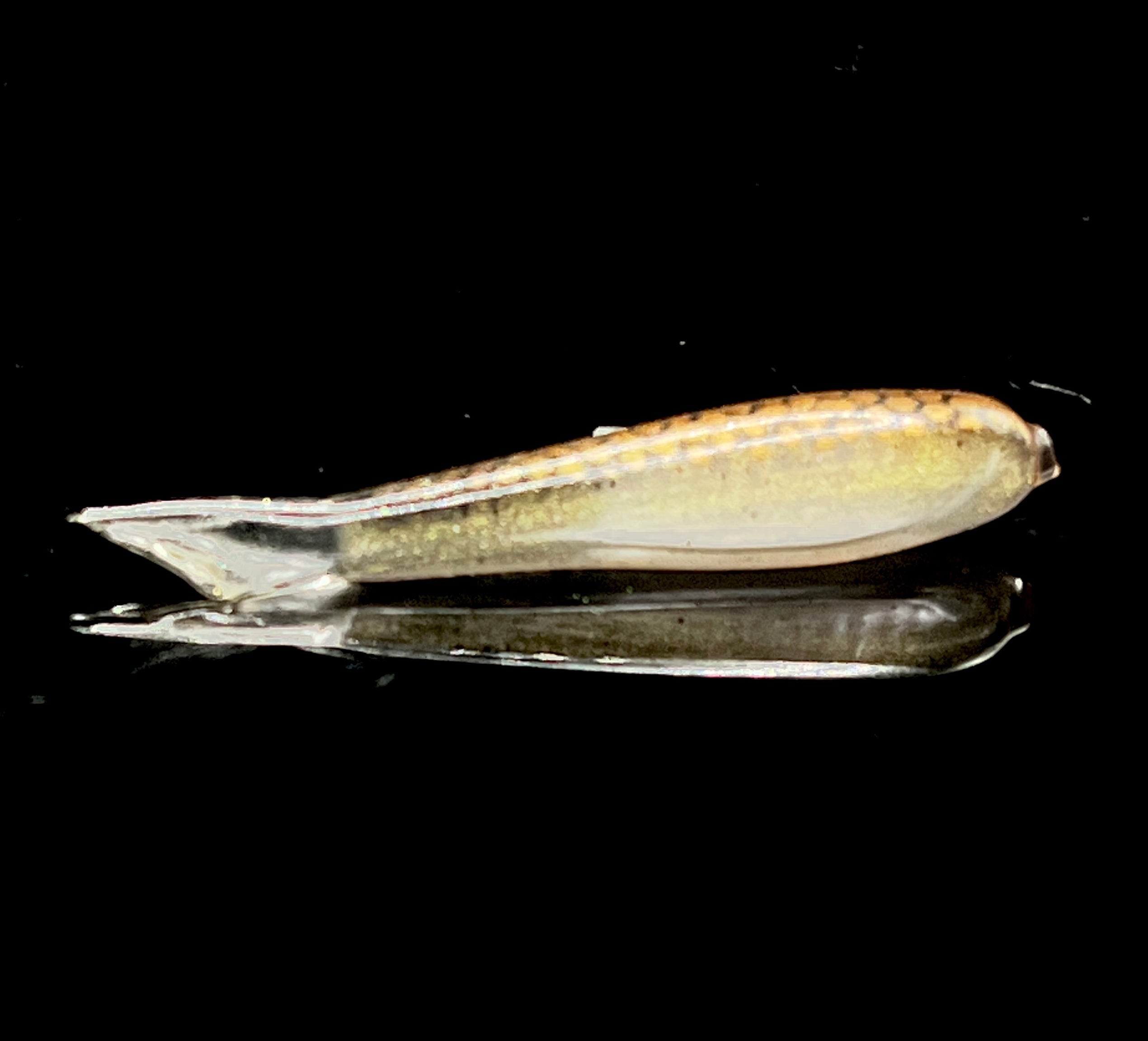 Mini Trix – Basstrix Lure Company